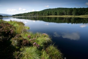 Dee Catchment Partnership wins prestigious nature award