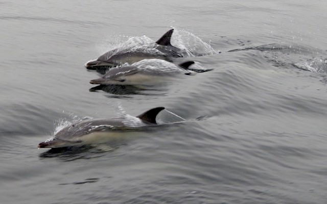 Wild Scotland - Outdoors Scotland Tourism Strategy